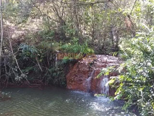 Fazenda para Venda em Araguari/MG Área Rural de Araguari