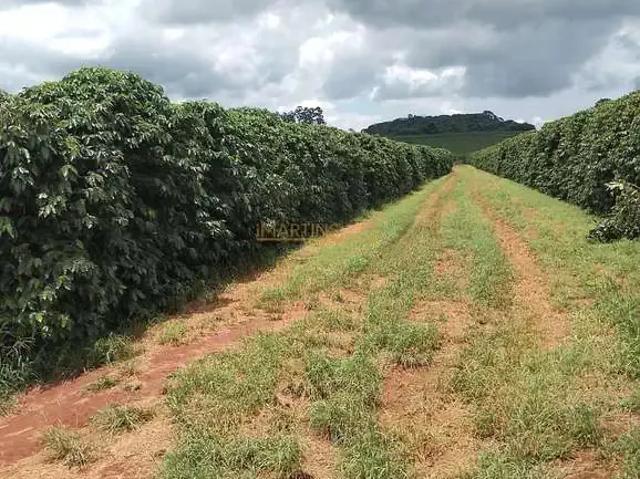 Fazenda para Venda em Araguari/MG Centro