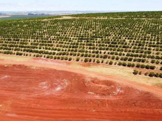 Fazenda para Venda em Arandu/SP Zona Rural