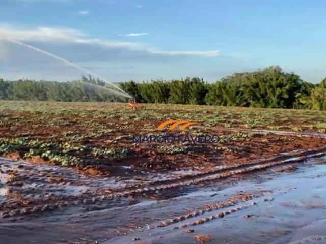 Fazenda para venda em Araraquara