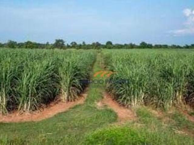 Fazenda para venda em Araraquara