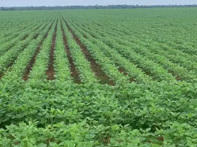 Fazenda para Venda em Araraquara/SP Área Rural de Araraquara