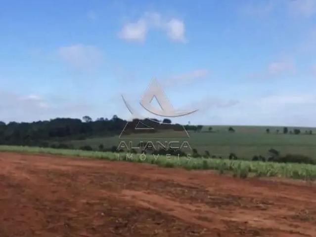 Fazenda para Venda em Araraquara/SP Área Rural de Araraquara 2 Quartos