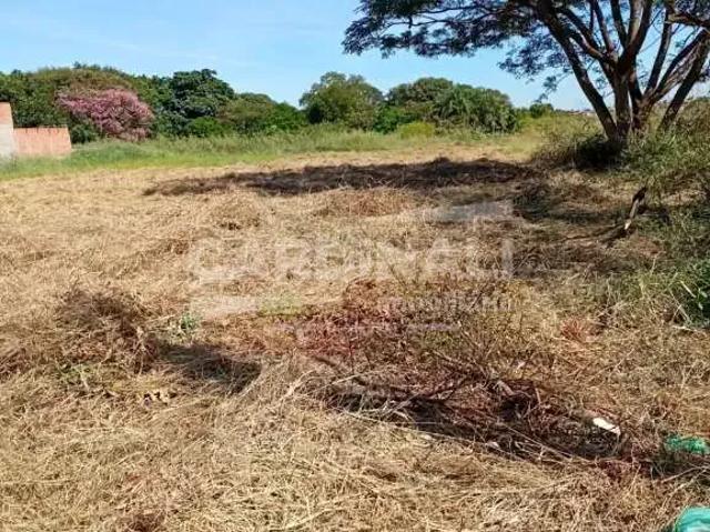 Fazenda para Venda em Araraquara/SP Jardim Uirapuru II