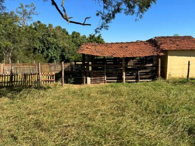 Fazenda para Venda em Araraquara/SP Jardim Quitandinha 3 Quartos