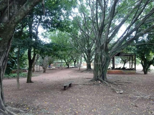 Fazenda para Venda em Araraquara/SP Recanto dos Nobres