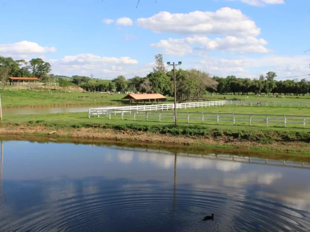 Fazenda para Venda em Araras/SP Centro