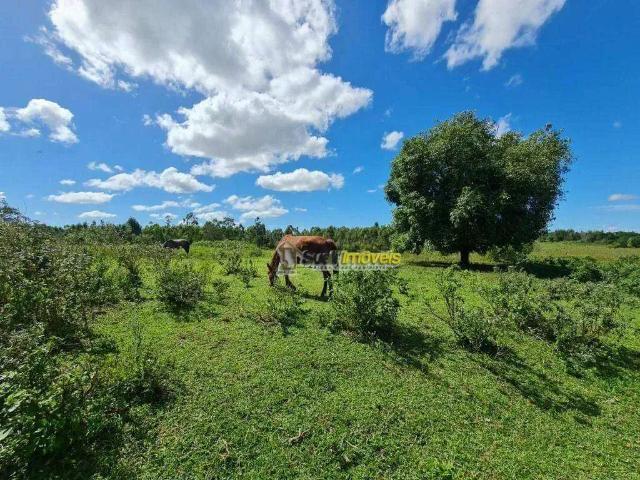 Fazenda para Venda em Araruama/RJ Banqueiros