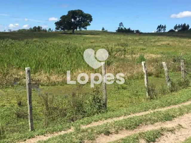 Fazenda para Venda em Araruama/RJ Centro 5 Quartos