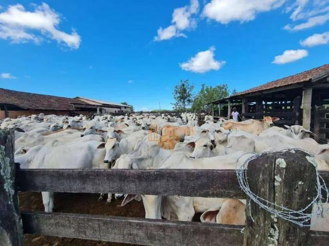 Fazenda para Venda em Araruama/RJ Centro