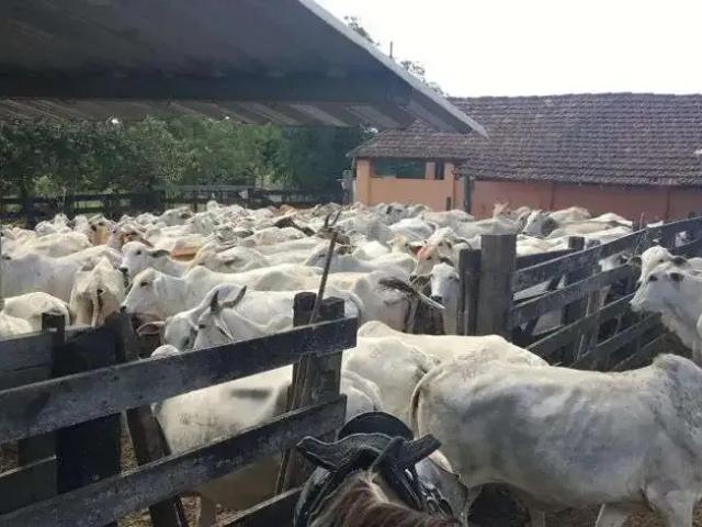 Fazenda para Venda em Araruama/RJ Centro