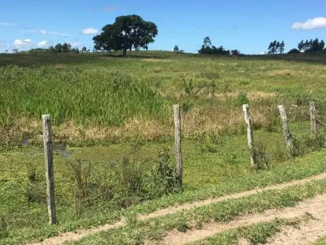 Fazenda para Venda em Araruama/RJ Monteiro São Vicente 4 Quartos