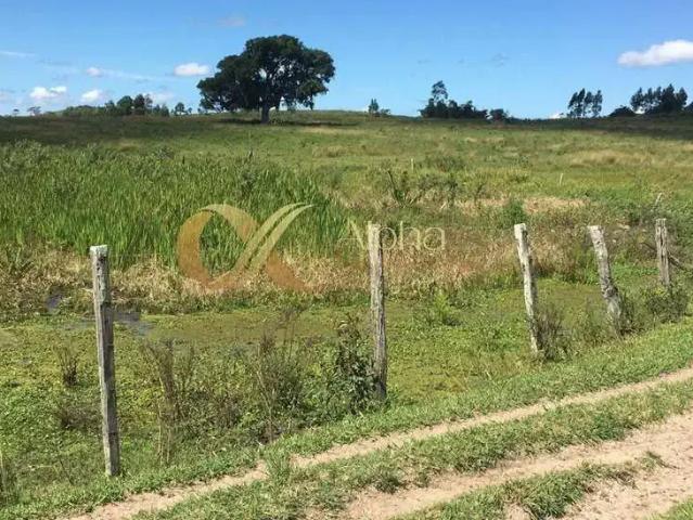 Fazenda para Venda em Araruama/RJ São Vicente de Paula