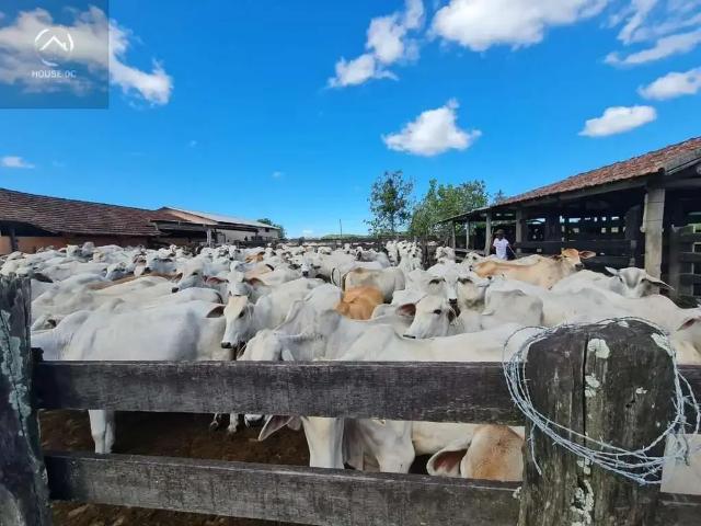 Fazenda para Venda em Araruama/RJ São Vicente de Paula