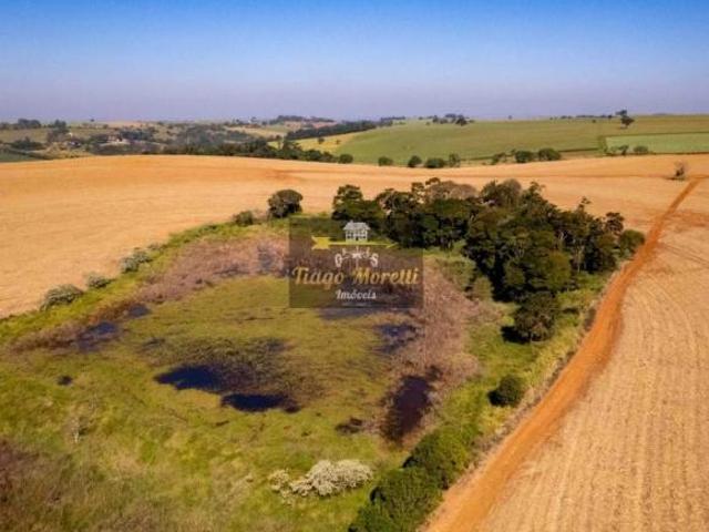 Fazenda para venda em Área Rural de Tatuí, Tatuí