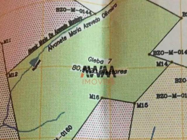 Fazenda para venda em Área Rural de Trindade, Trindade