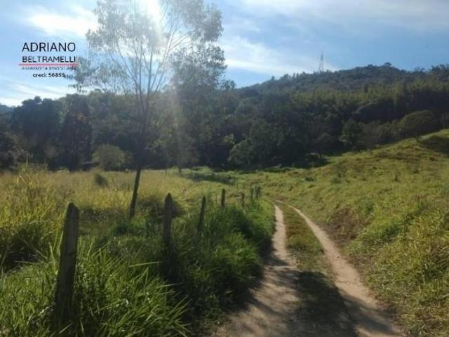 Fazenda para venda em Área Rural de Amparo, Amparo