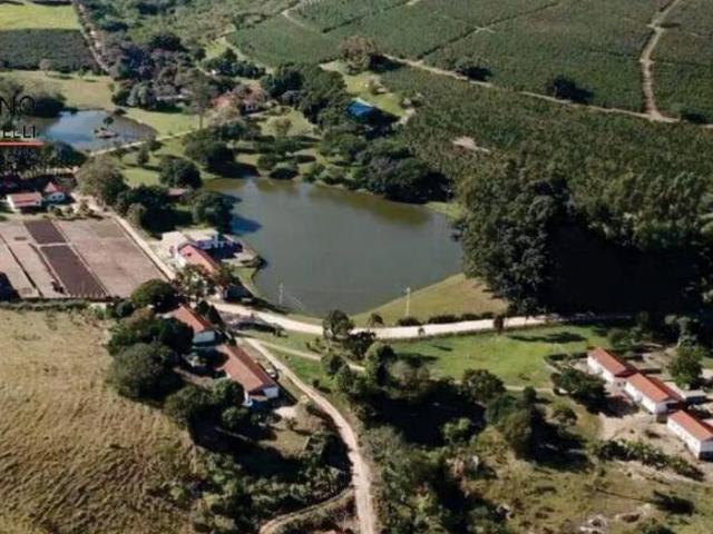 Fazenda para venda em Área Rural de Amparo, Amparo
