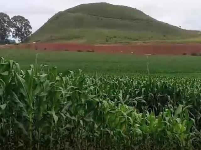 Fazenda para venda em Área Rural De Andradas, Andradas