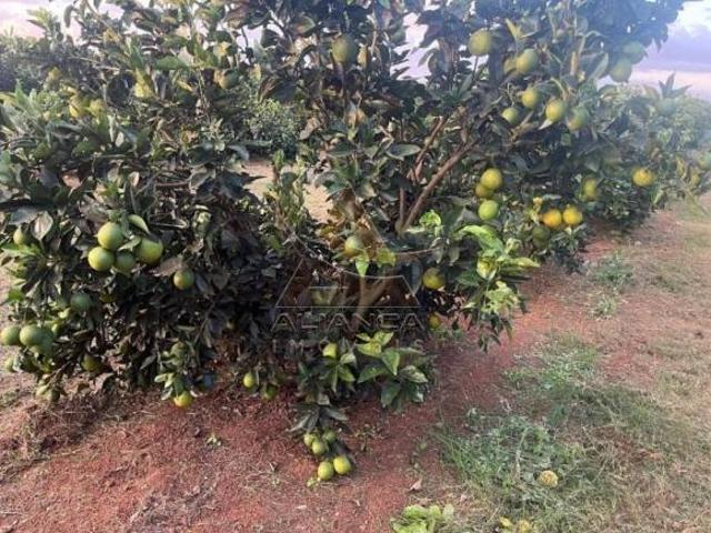 Fazenda para venda em Área Rural de Angatuba, Angatuba