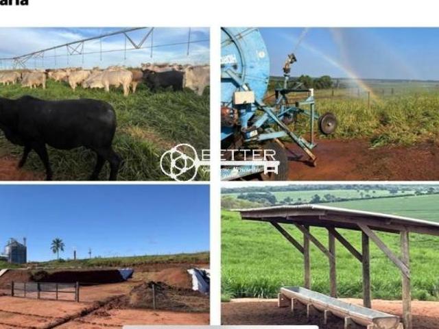 Fazenda para venda em Área Rural de Angatuba, Angatuba