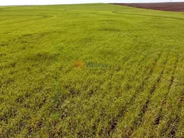 Fazenda para venda em Área Rural de Araçatuba, Araçatuba