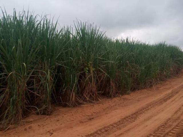 Fazenda para venda em Área Rural de Araçatuba, Araçatuba
