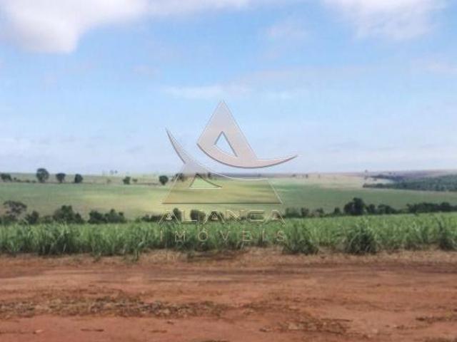 Fazenda para venda em Área Rural de Araraquara, Araraquara