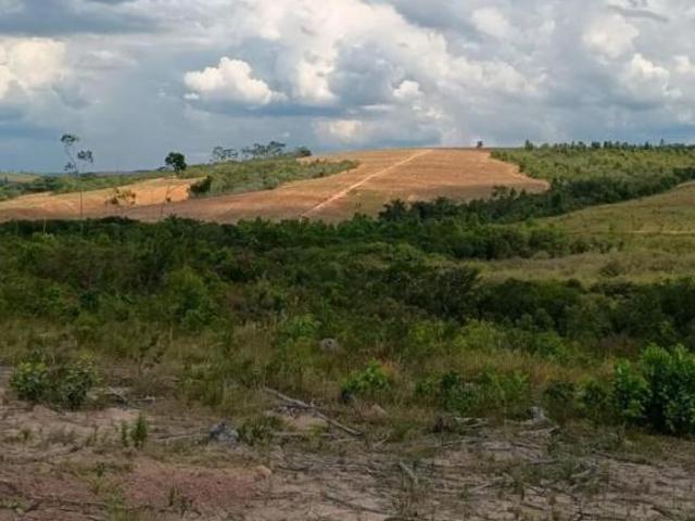 Fazenda para venda em Área Rural de Arcos, Arcos