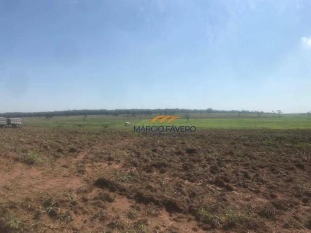 Fazenda para venda em Área Rural de Bauru, Bauru