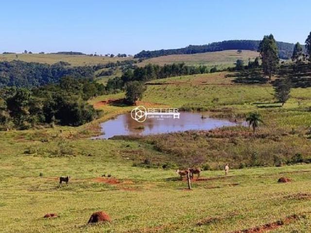 Fazenda para venda em Área Rural de Botucatu, Botucatu