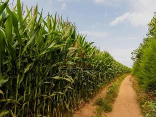 Fazenda para venda em Área Rural de Cajuru, Cajuru