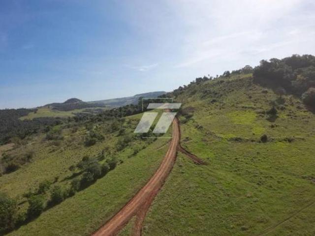 Fazenda para venda em Área Rural de Cascavel, Cascavel