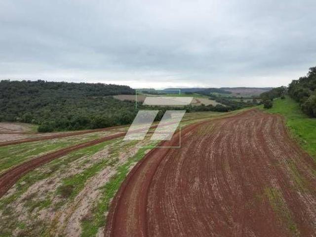 Fazenda para venda em Área Rural de Cascavel, Cascavel