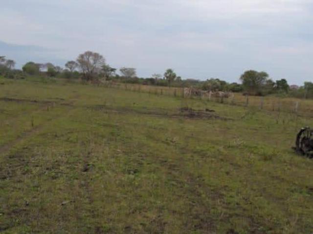 Fazenda para venda em Área Rural de Corumbá, Corumbá