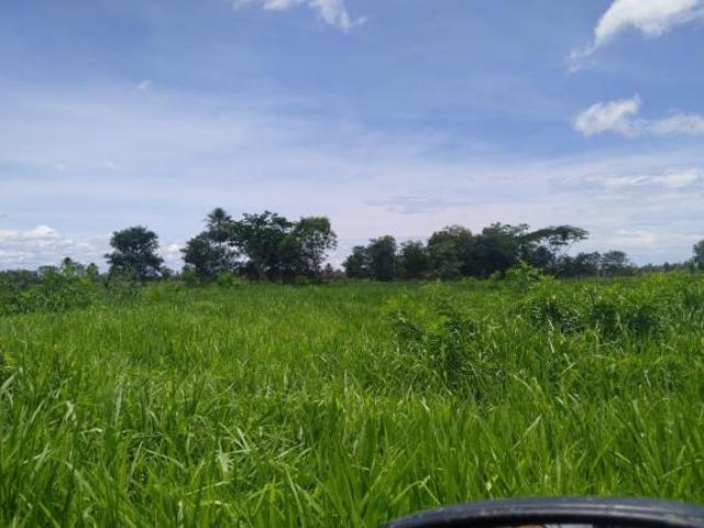 Fazenda para venda em Área Rural de Corumbá, Corumbá