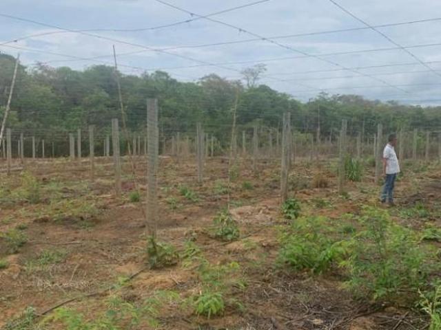 Fazenda para venda em Área Rural de Curvelo, Curvelo