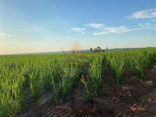 Fazenda para venda em Área Rural de Echaporã, Echaporã
