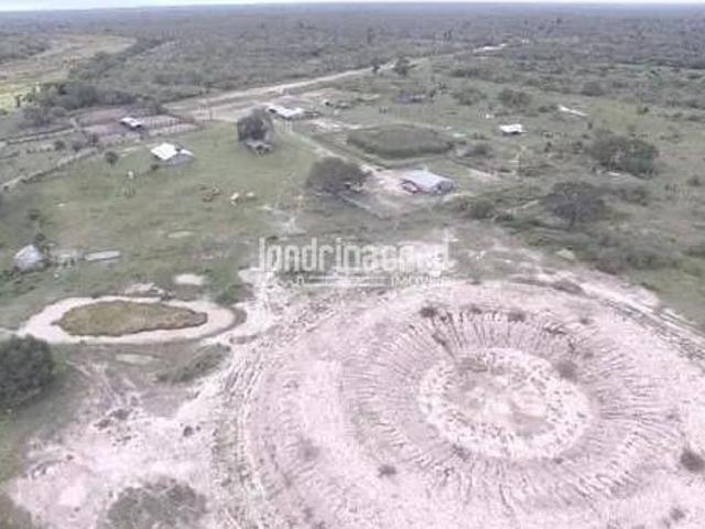 Fazenda para venda em Área Rural de Foz do Iguaçu, Foz do Ig