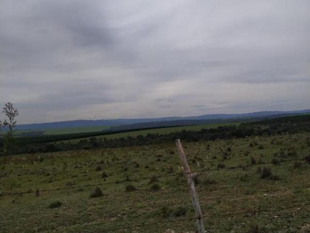Fazenda para venda em Área Rural de Franca, Franca