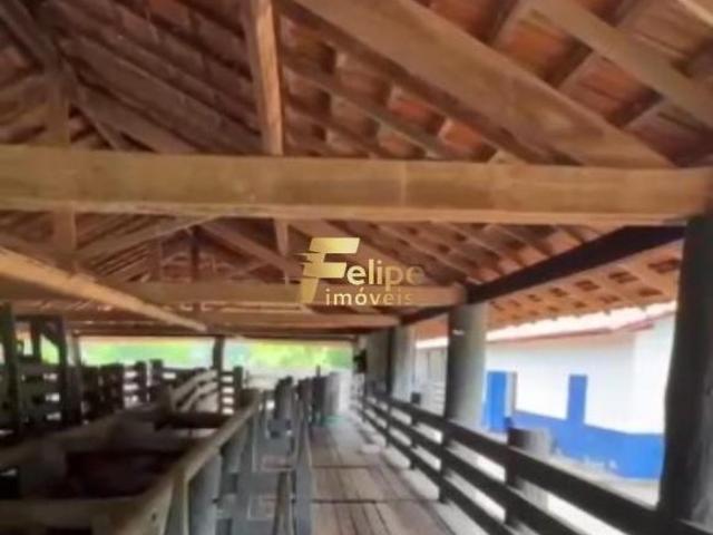 Fazenda para venda em Área Rural de Governador Valadares, Go