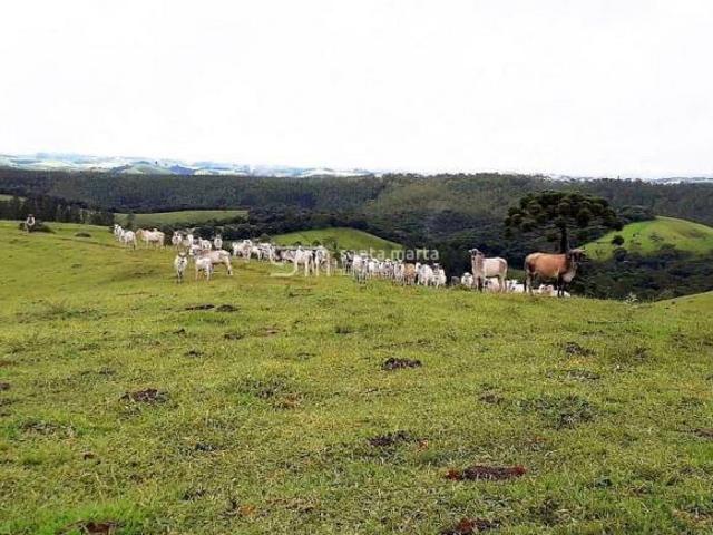 Fazenda para venda em Área Rural de Guaratinguetá, Guarating