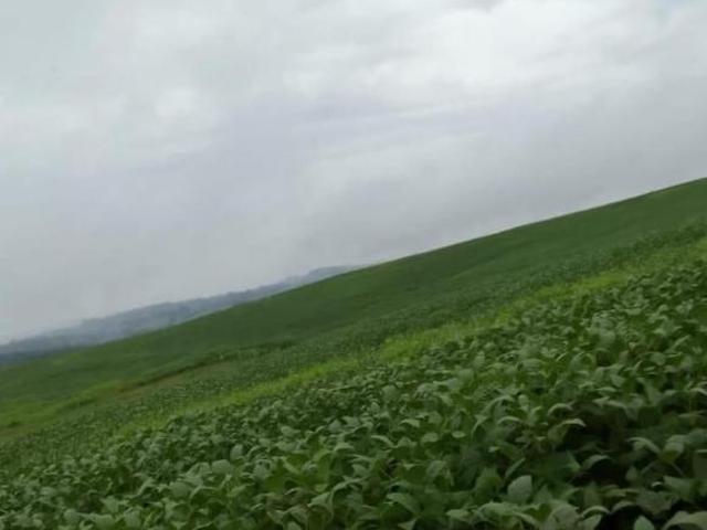 Fazenda para venda em Área Rural de Itapetininga, Itapetinin