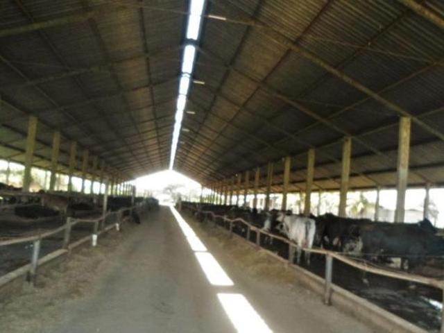 Fazenda para venda em Área Rural de Juiz de Fora, Juiz de Fo