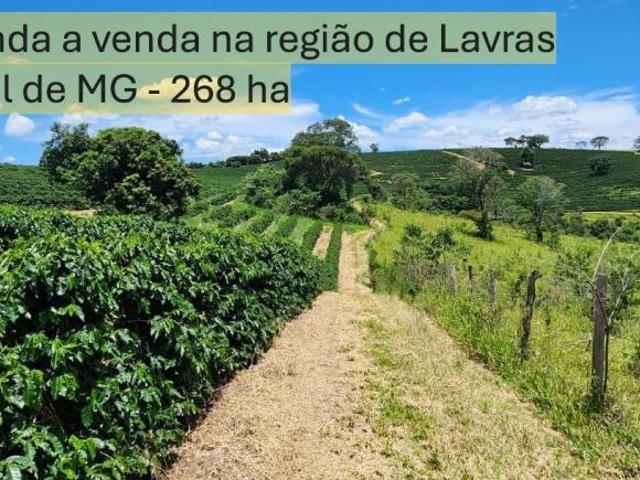 Fazenda para venda em Área Rural de Lavras, Lavras