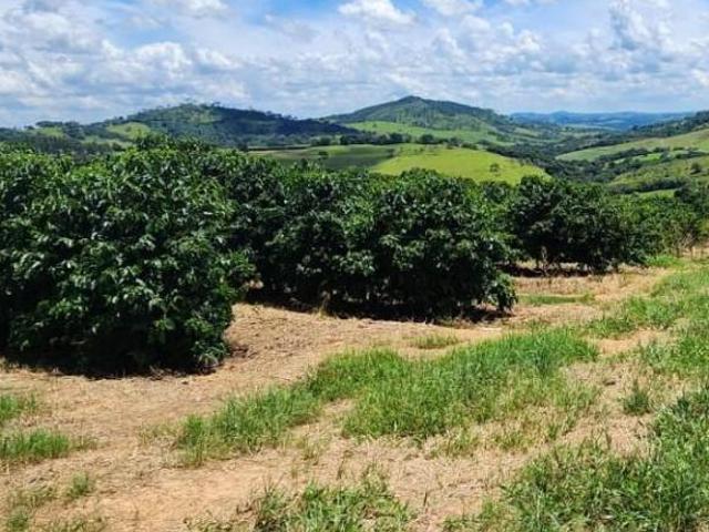 Fazenda para venda em Área Rural de Lavras, Lavras