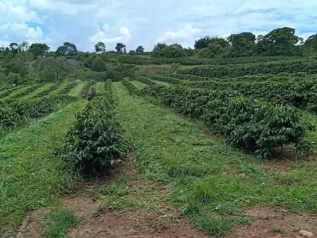 Fazenda para venda em Área Rural de Lavras, Lavras