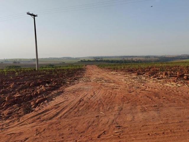 Fazenda para venda em Área Rural de Lins, Lins