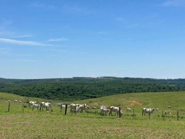 Fazenda para venda em Área Rural de Lins, Lins