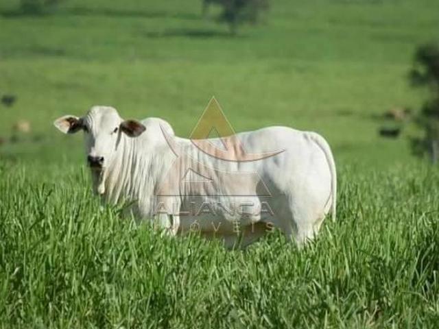 Fazenda para venda em Área Rural de Lorena, Lorena